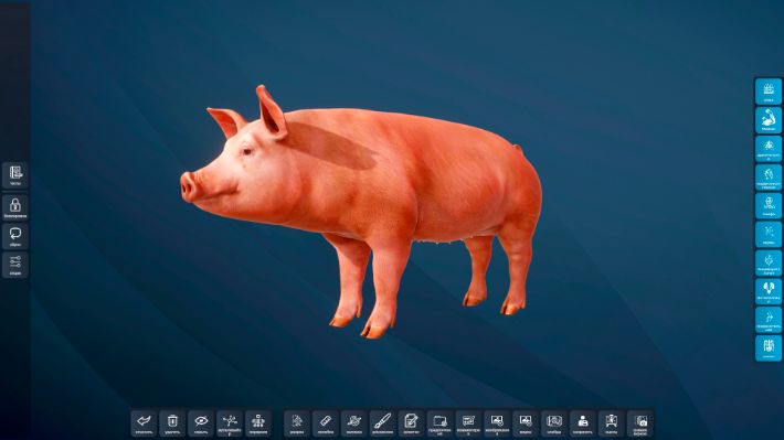 Виртуальная анатомия животных PL-VET Anatomy